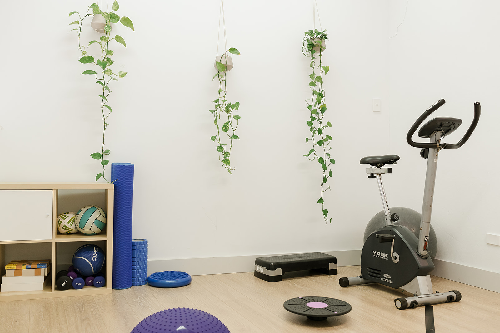 Carly Edgar - Physiotherapist | Fit and Flow Physiotherapy